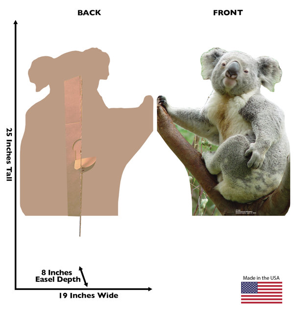Koala Weight Chart